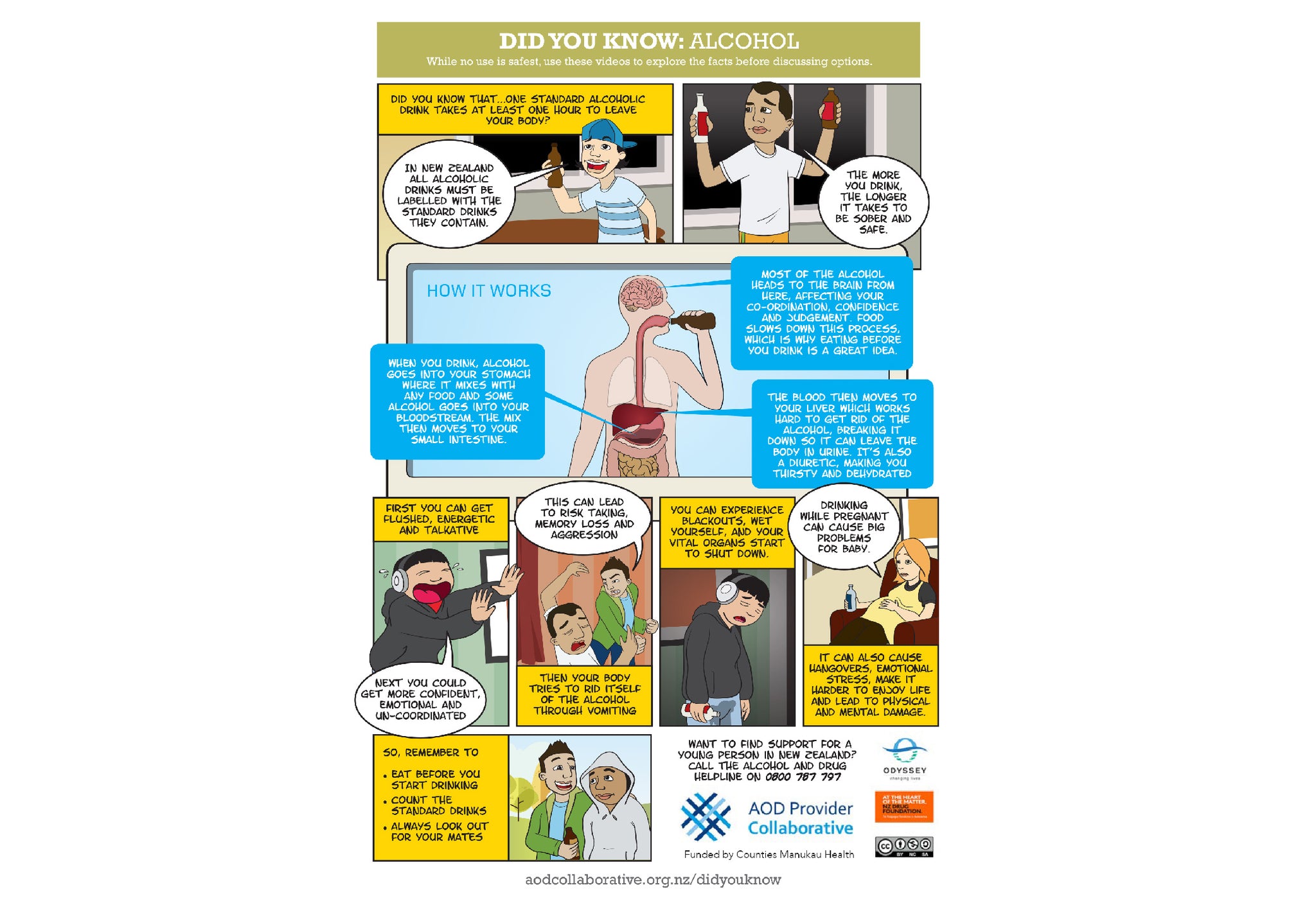 Did you know: Alcohol poster - A3 – NZ Drug Foundation
